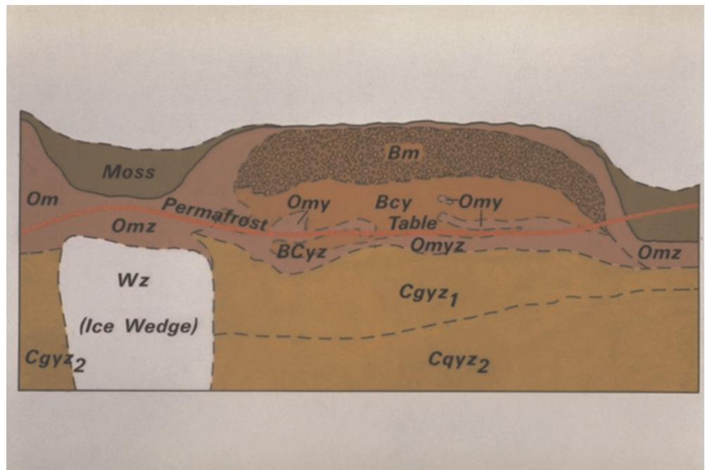 Figure 4 - Cryosolic soils of Canada: Genesis, distribution,