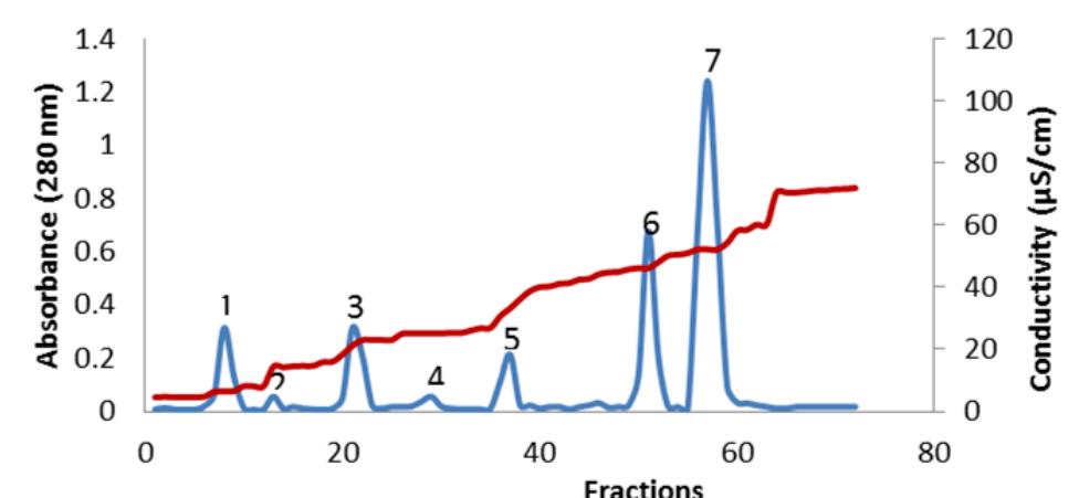 Absorbance graph of ion exchanger chromatography