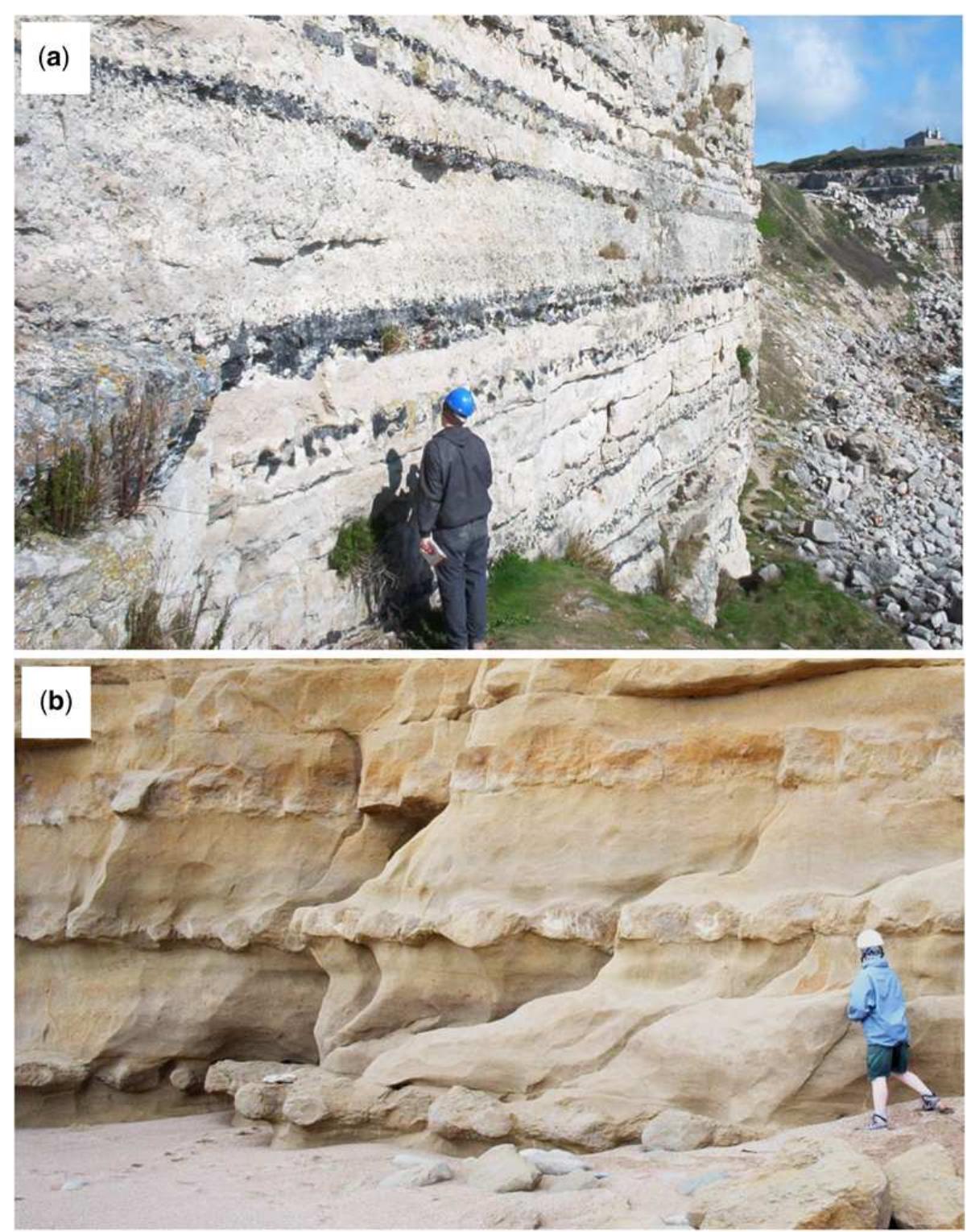 Effects of eodiagenesis: nodules, nodular beds and
