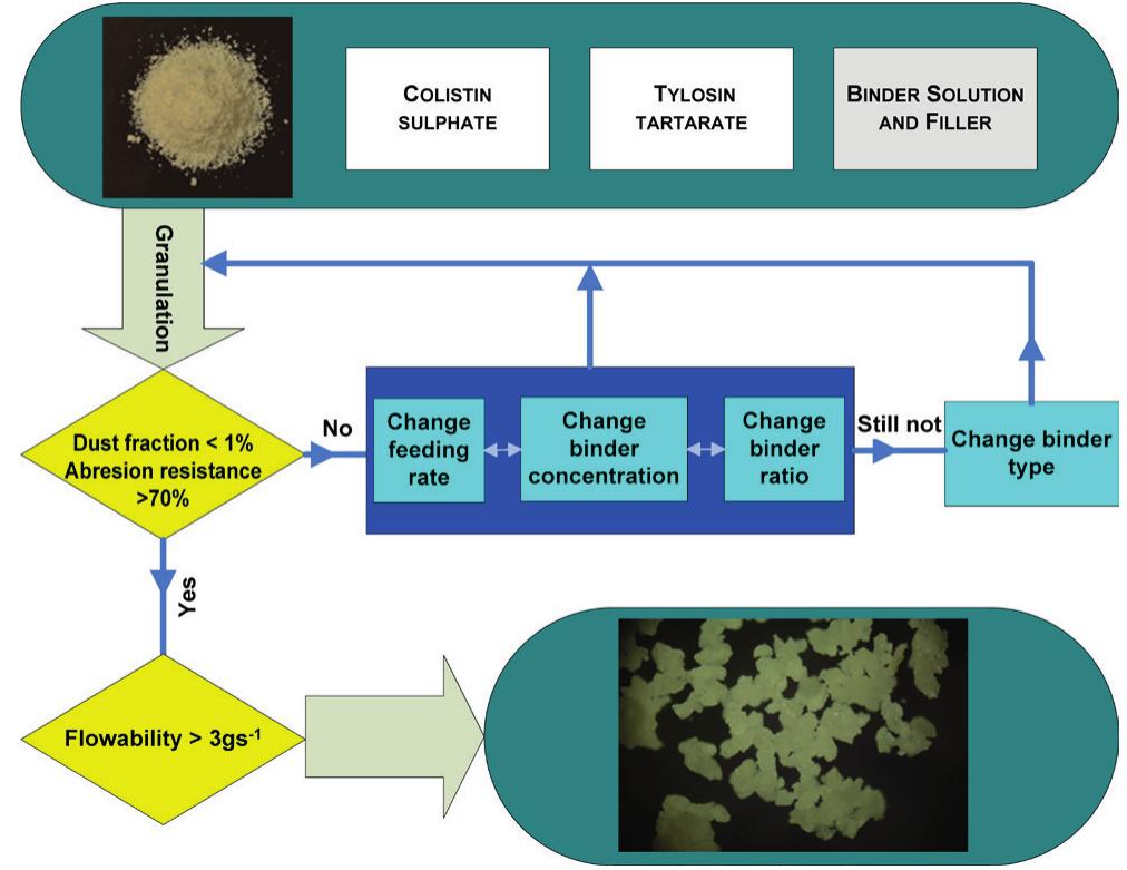 Flowchart of the granulation process of colistine sulfate