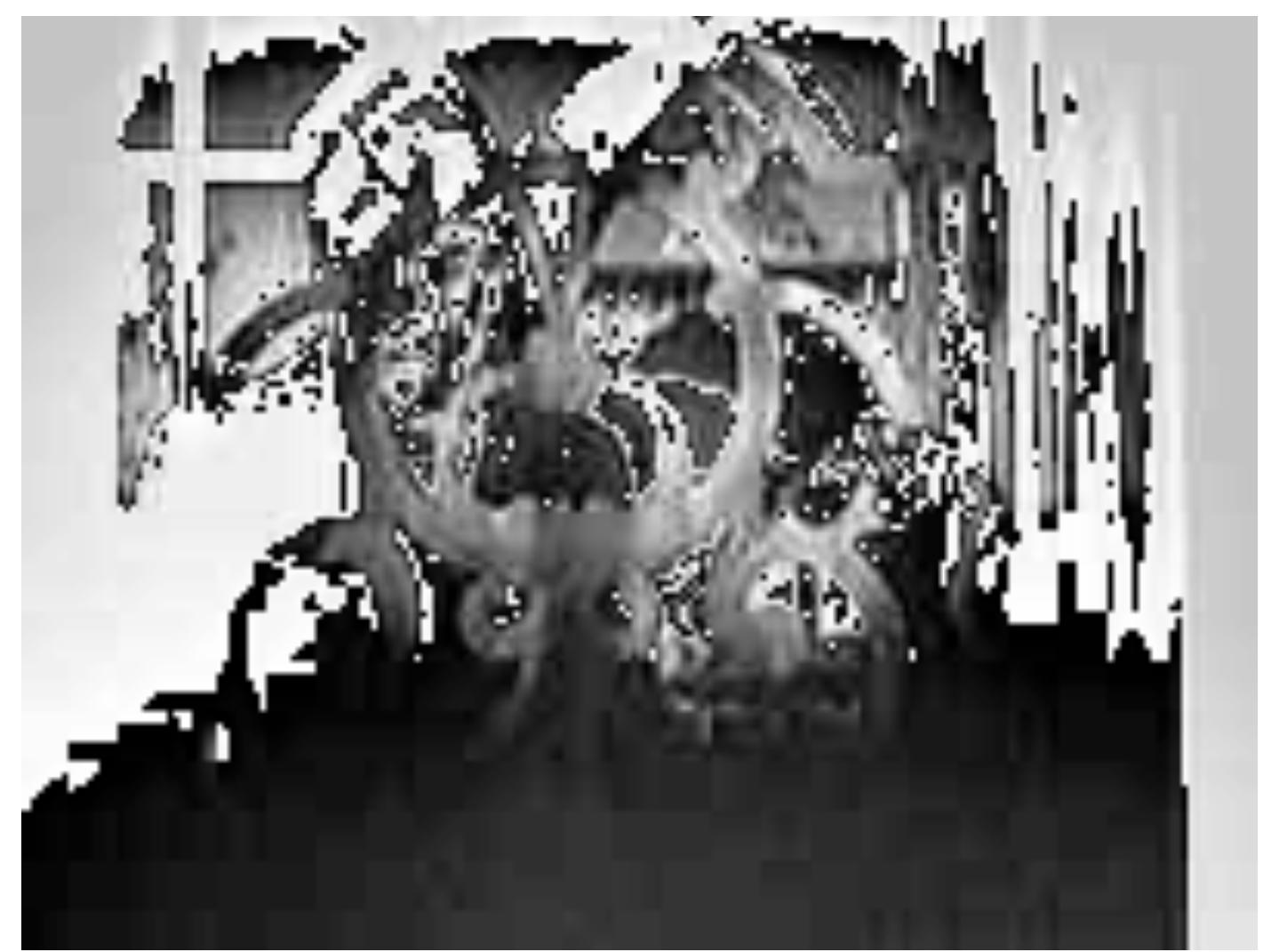 S 3.1 - 3.5. the human/ghost gaze between shankar and