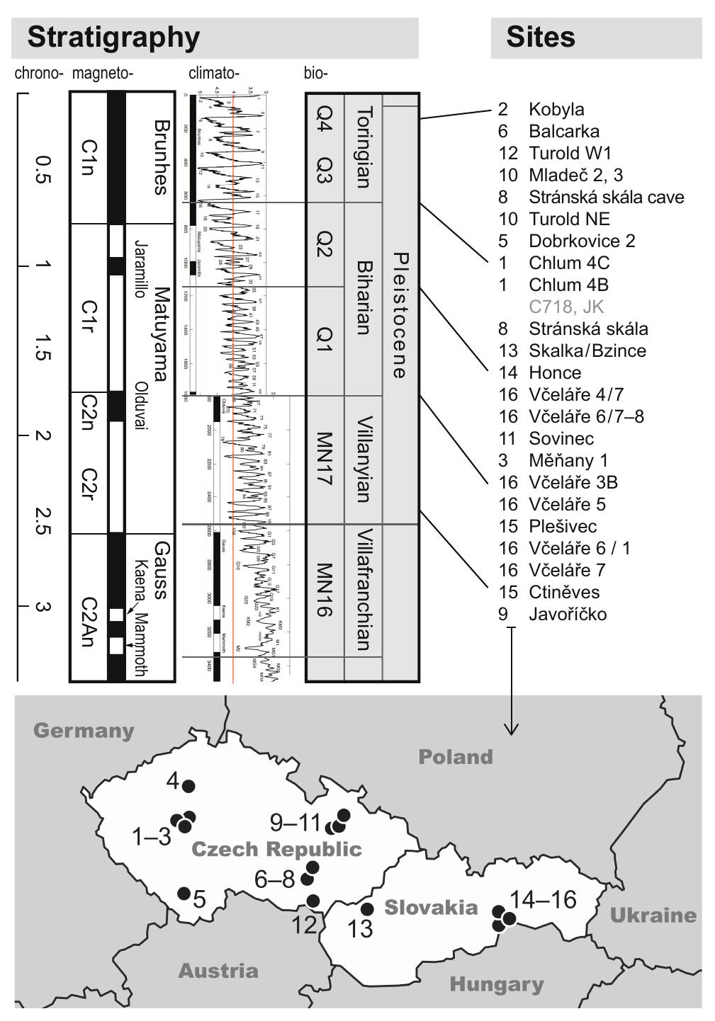 Figure 1 - Genus Apodemus in the Pleistocene of Central