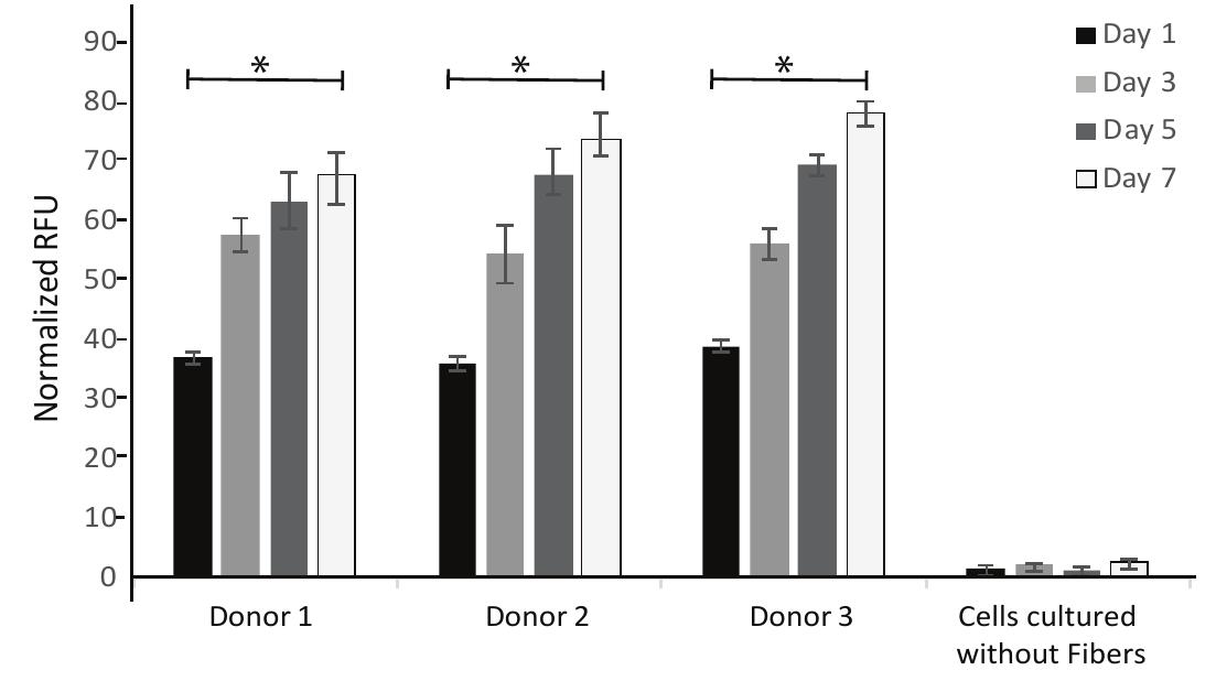 The graph shows the average relative fluorescence unit (rfu)
