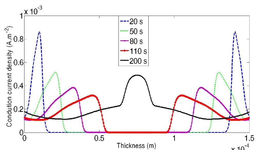 Conduction Current Density Profiles At Different Times Under