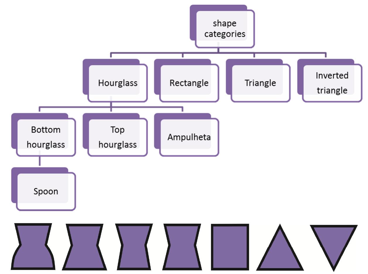 Women biotypes classification (adapted from vuruskan and