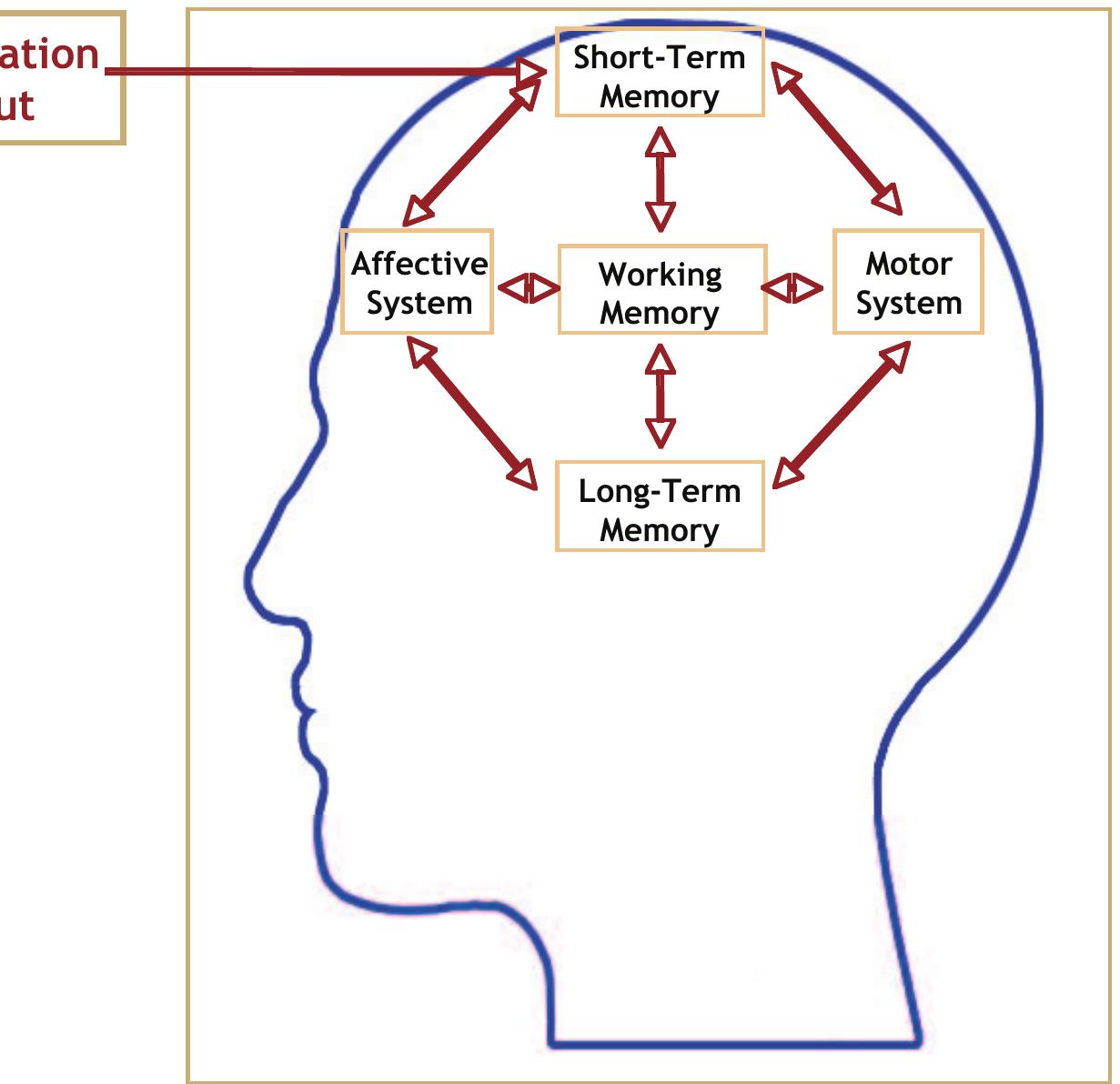 Key memory systems of the brain and their interactions