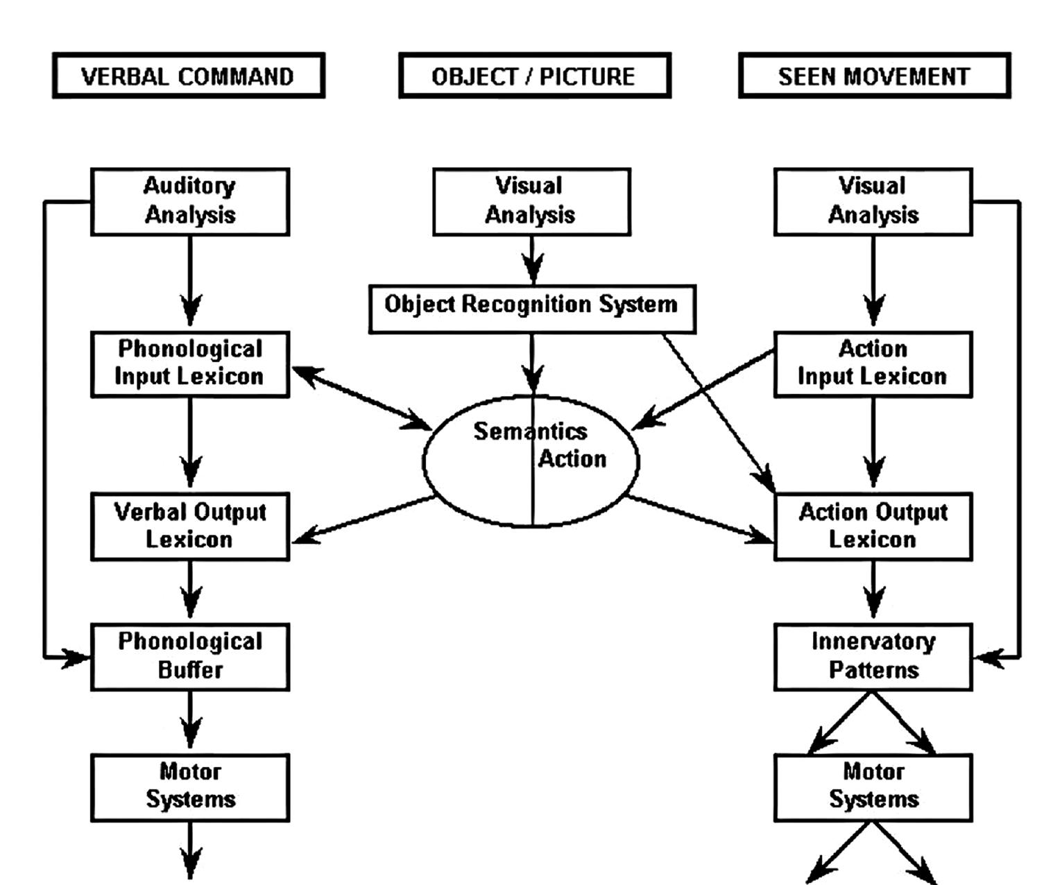 The cognitive neuropsychological model of praxis processing