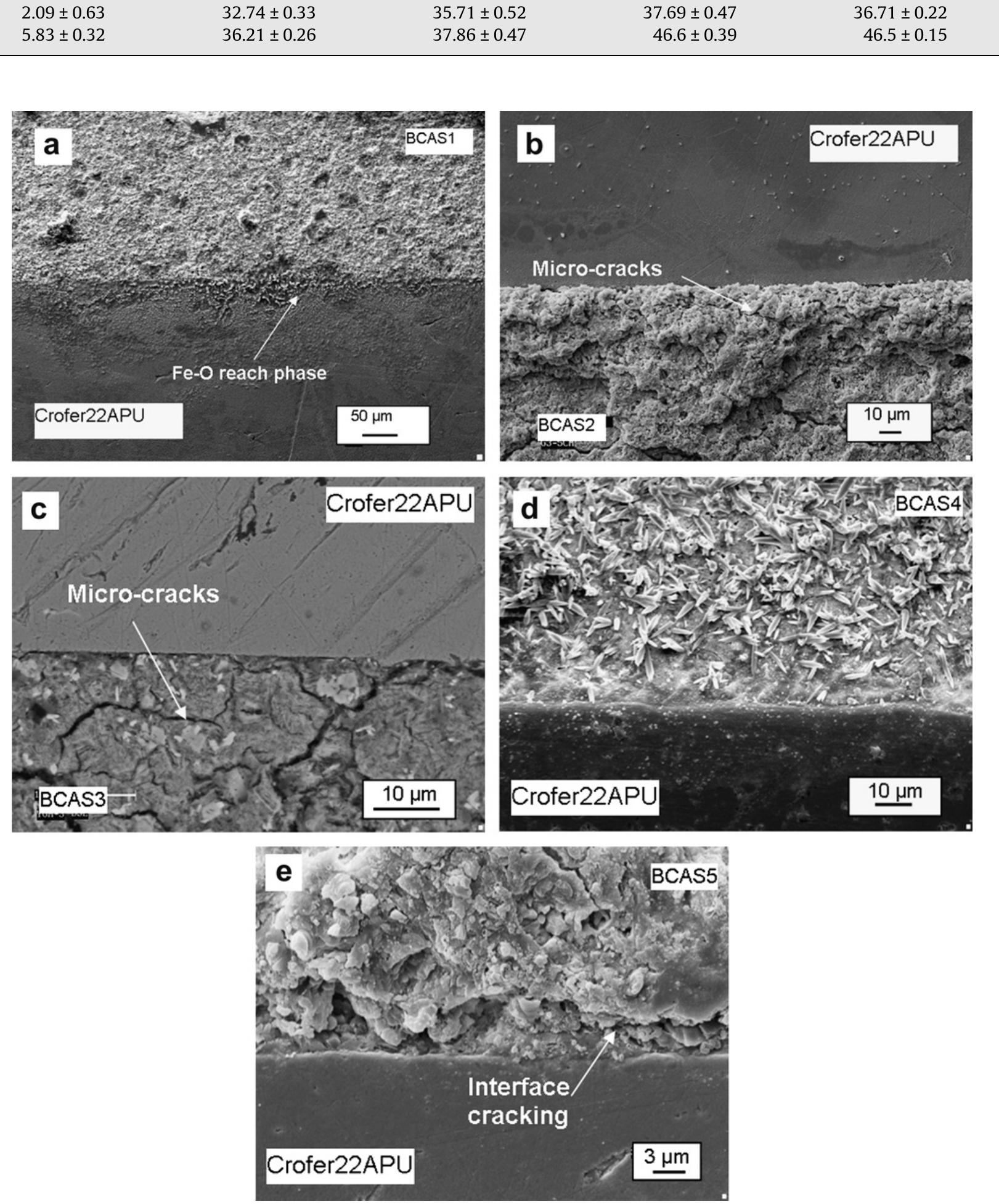 Sem micro-photographs of the cross-section of the sealed