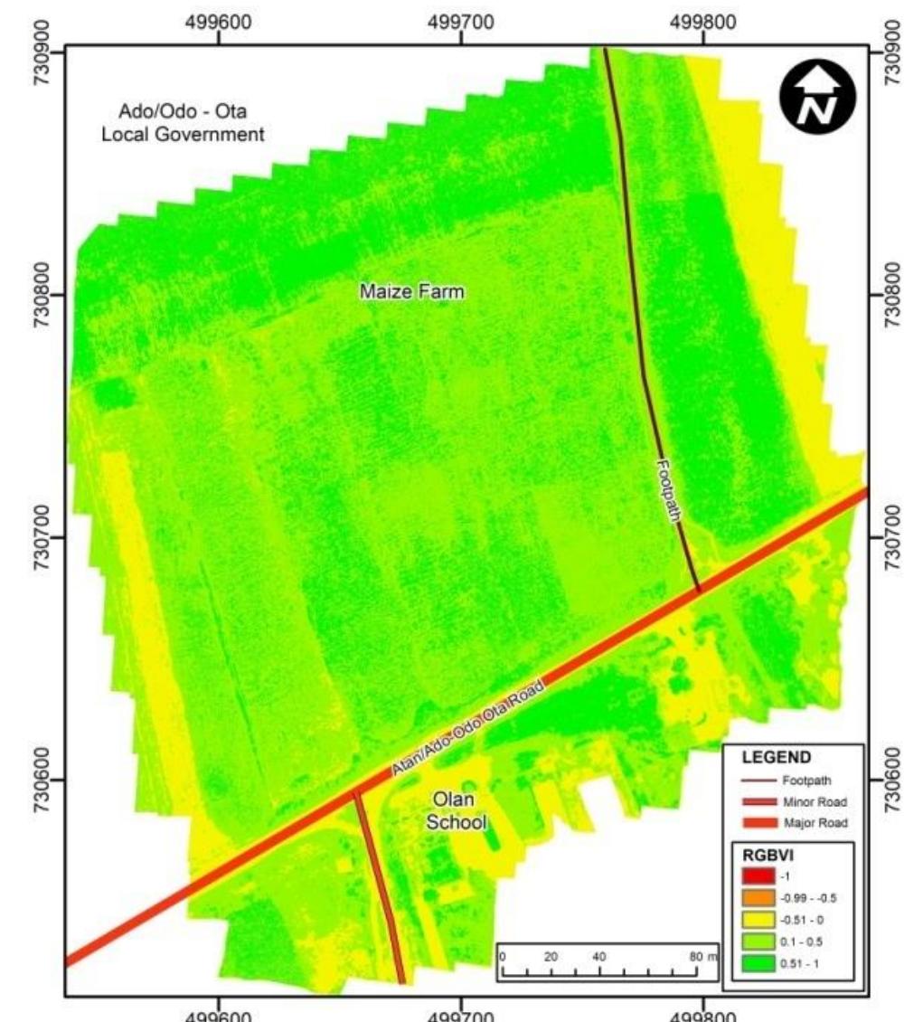 Rgbvi map of the maize farmland figure 2. mgrvi map of the