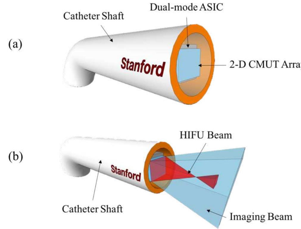 Conceptual drawing of the dual-mode catheter (a) with