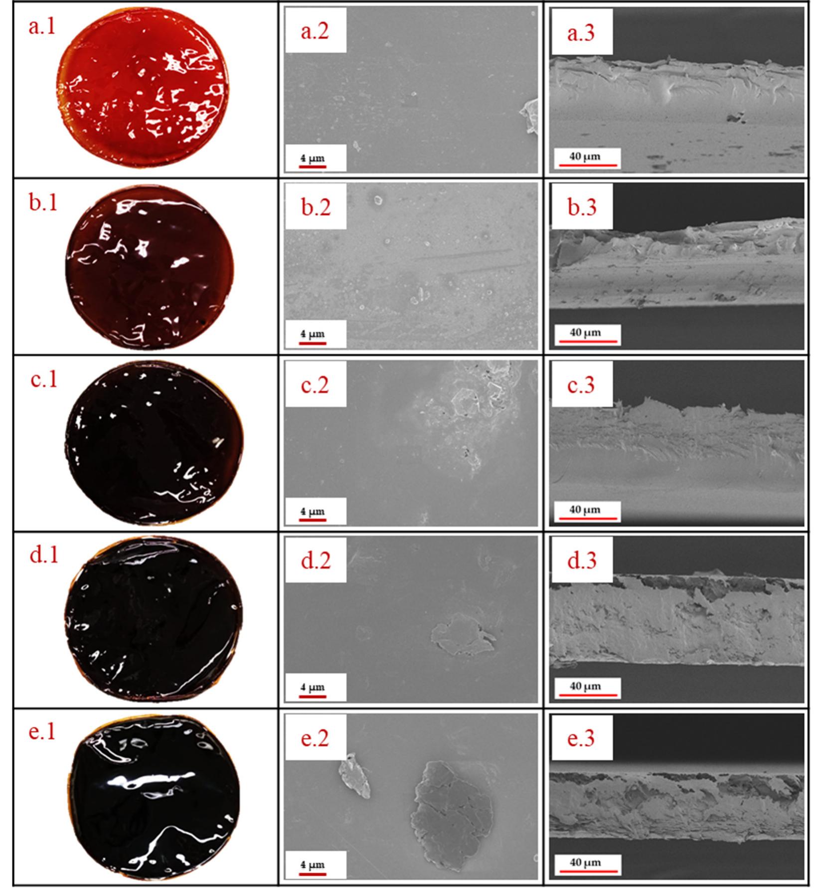 Photographs and sem images of the pbi membranes: (a.1—a.3)