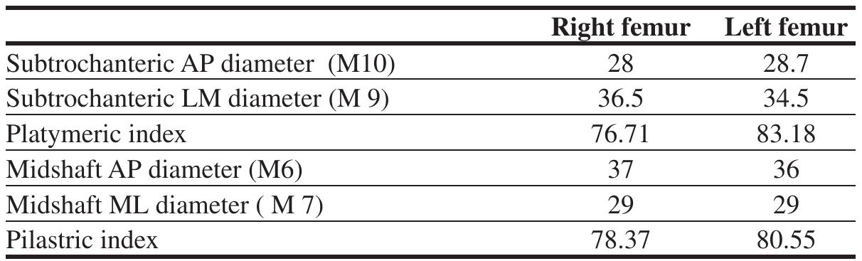 Measurements of excavated parts of femur according to j.