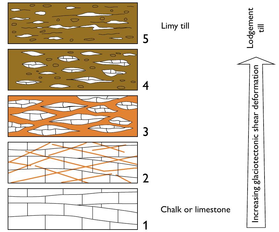 Five steps in the progressive formation of chalk