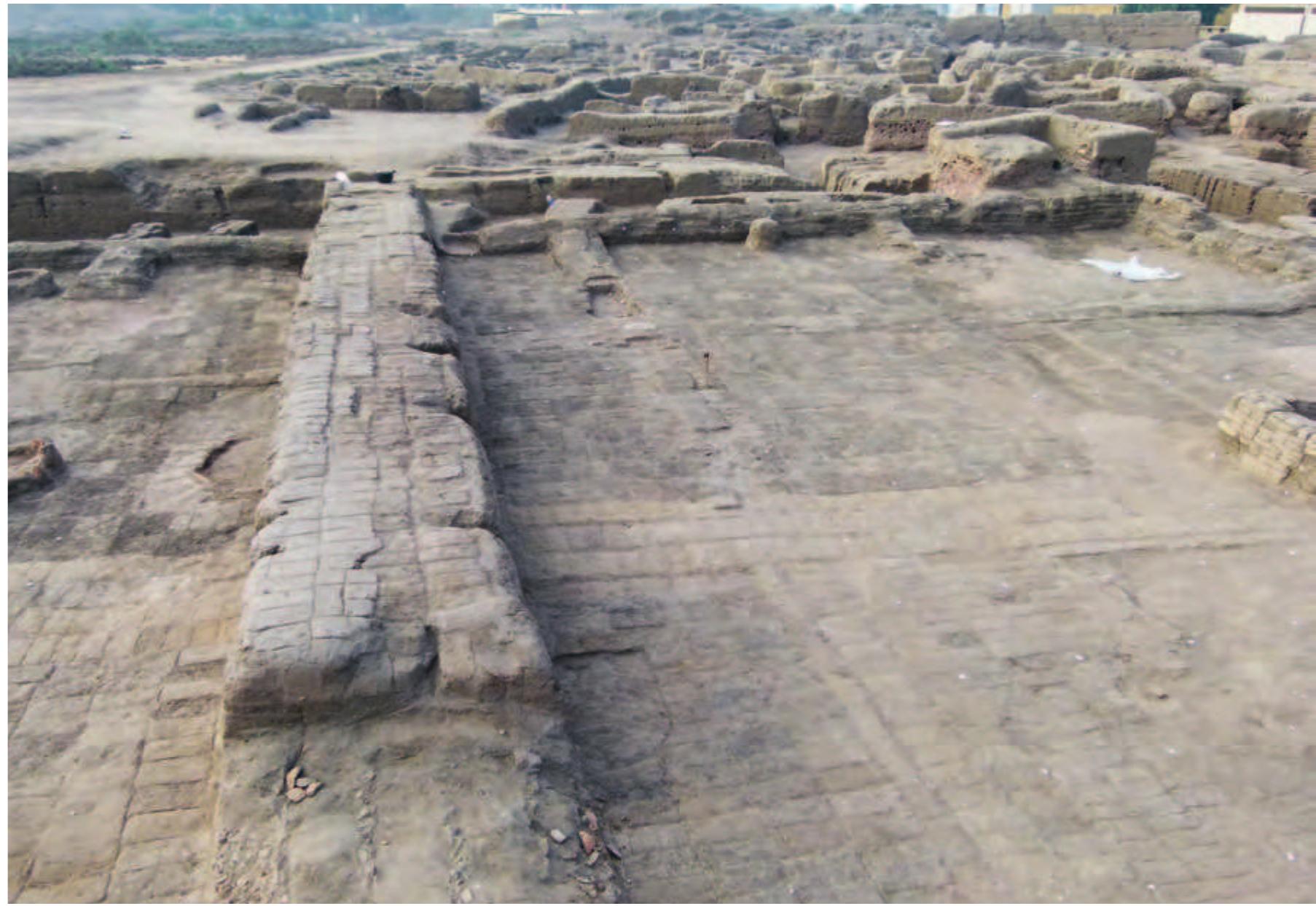 Block of square paved magazines of an older palace phase
