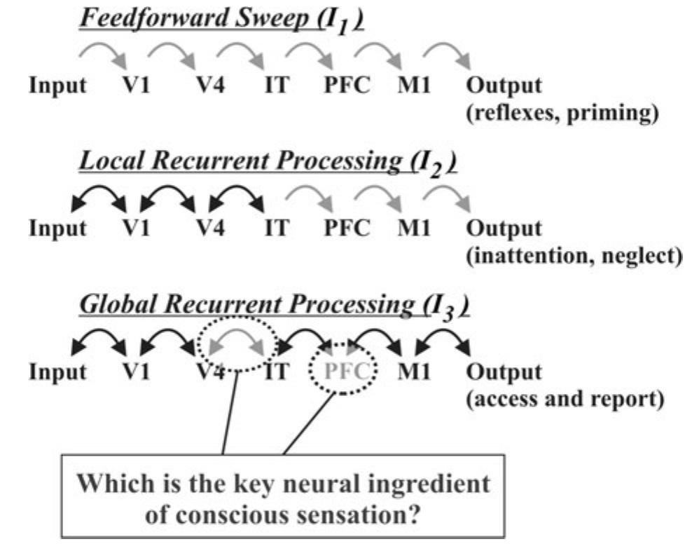 (lamme). three stages of visual processing: first, visual