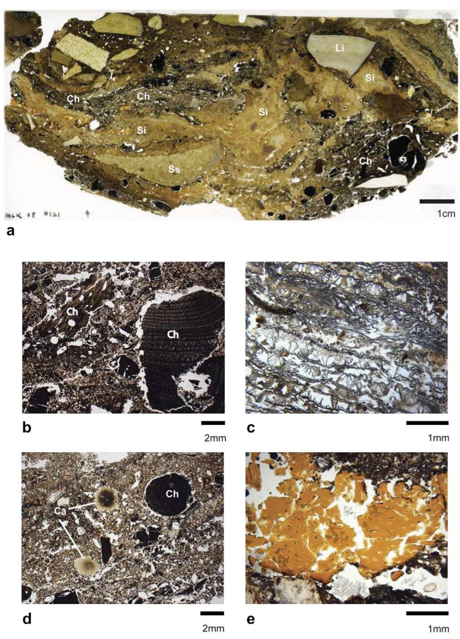 Microphotos from layer 8, facies c. sample . a) slide