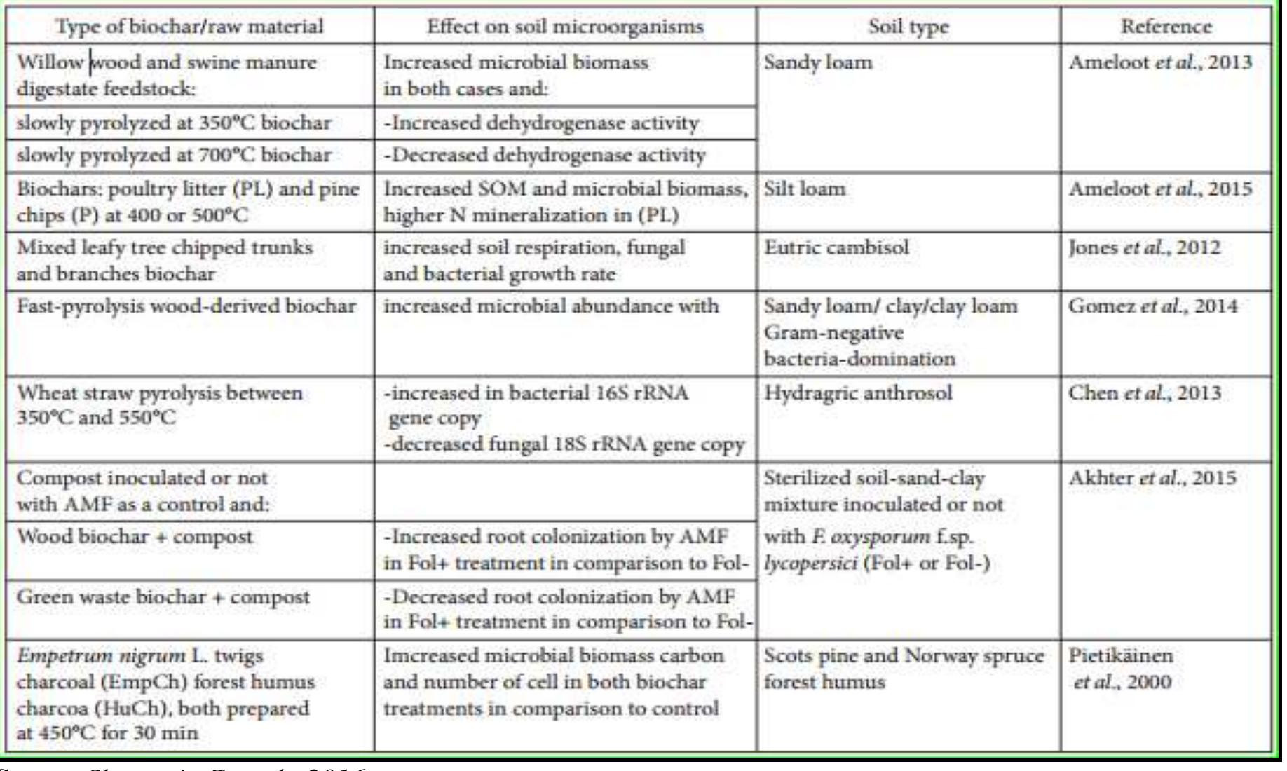 L. different biochar influence on soil microorganisms in