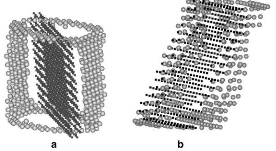 Positions of mis-coordinated atoms: (a) prismatic loop, (b)