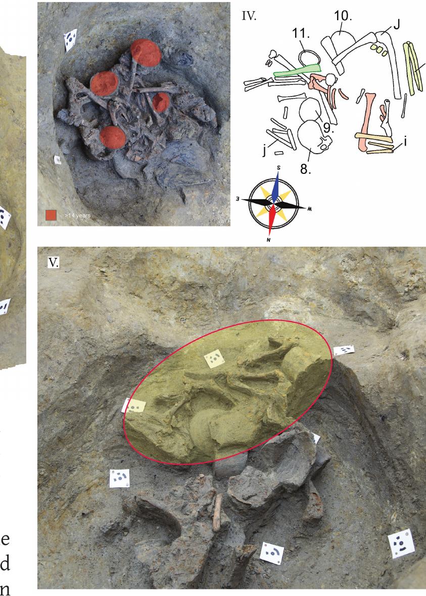 8. the bottom layers of the pit: layer iv - showing the most