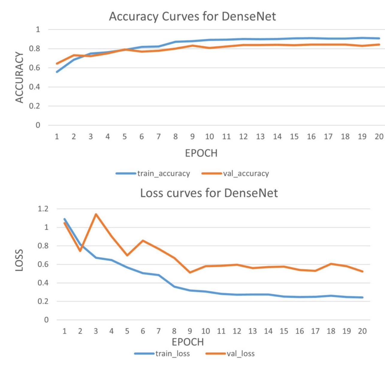 Accuracy and loss curves for densenet architecture.