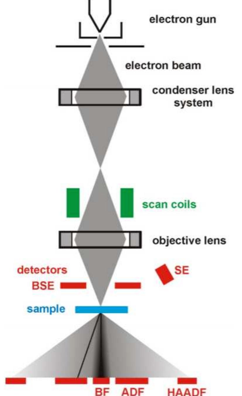 3: scheme of a scanning transmission electron microscope