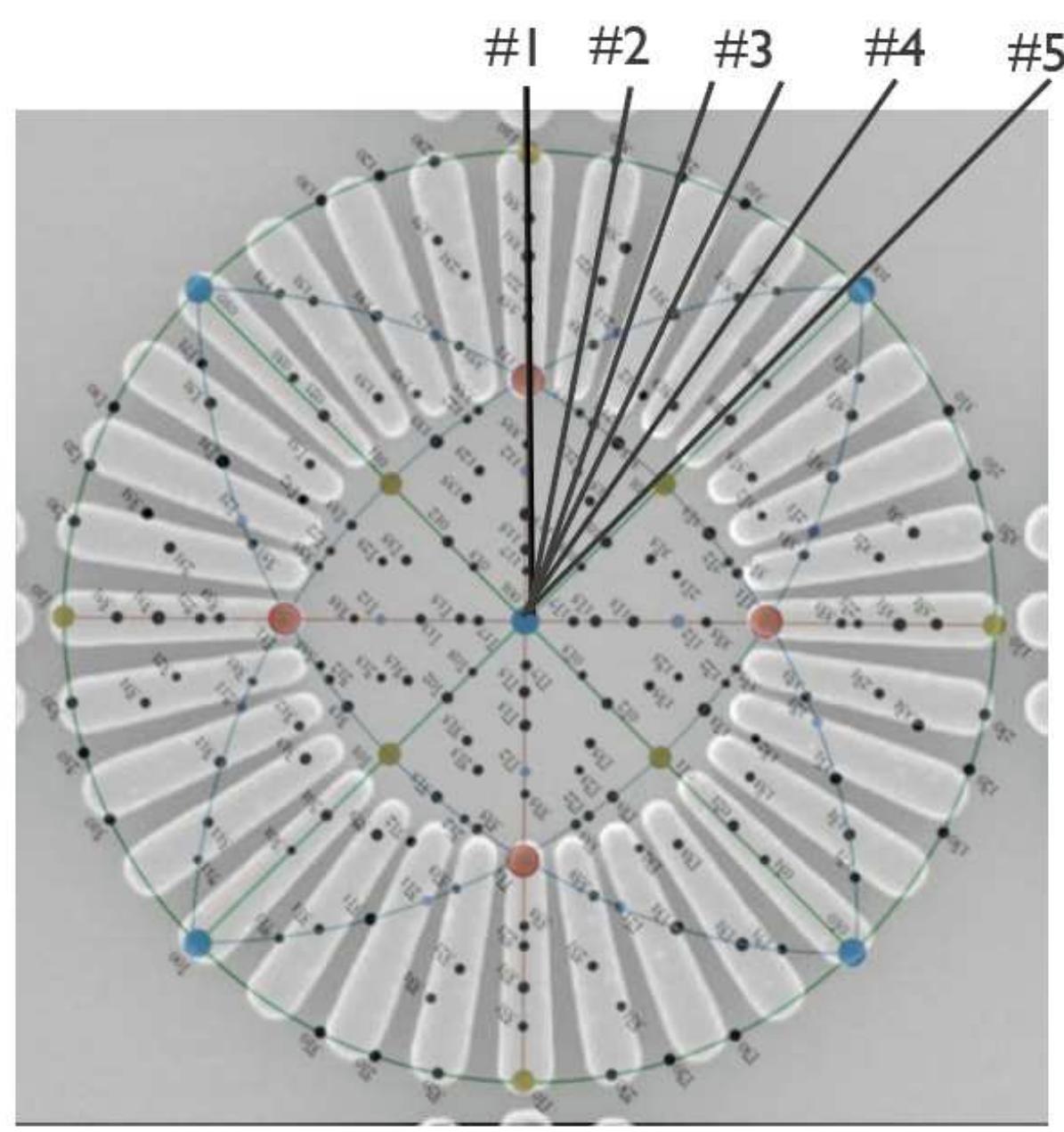 1: wagon wheel structure with stereographic projection over-