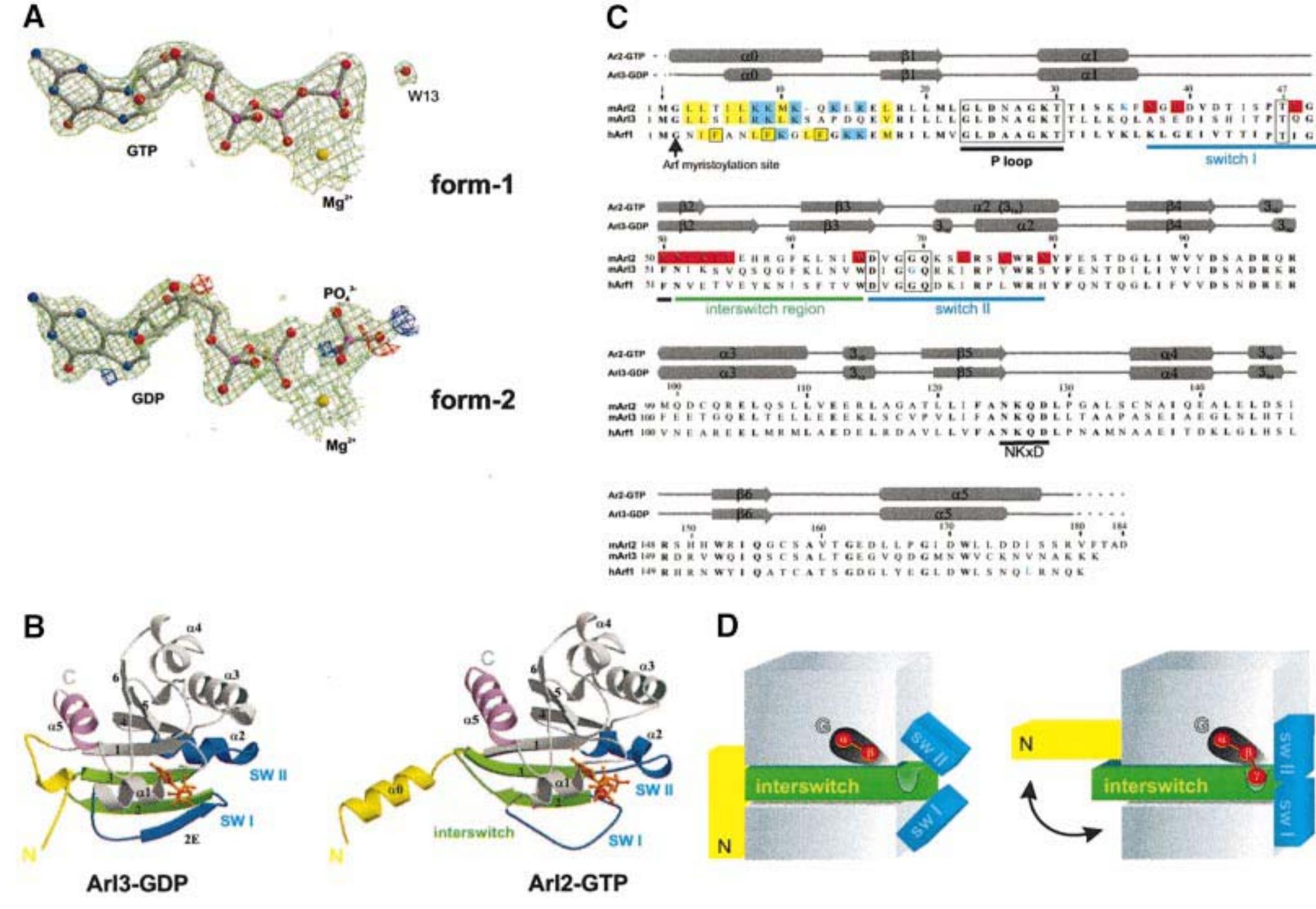 The structure of arl2-gtp. (a) electron density maps around