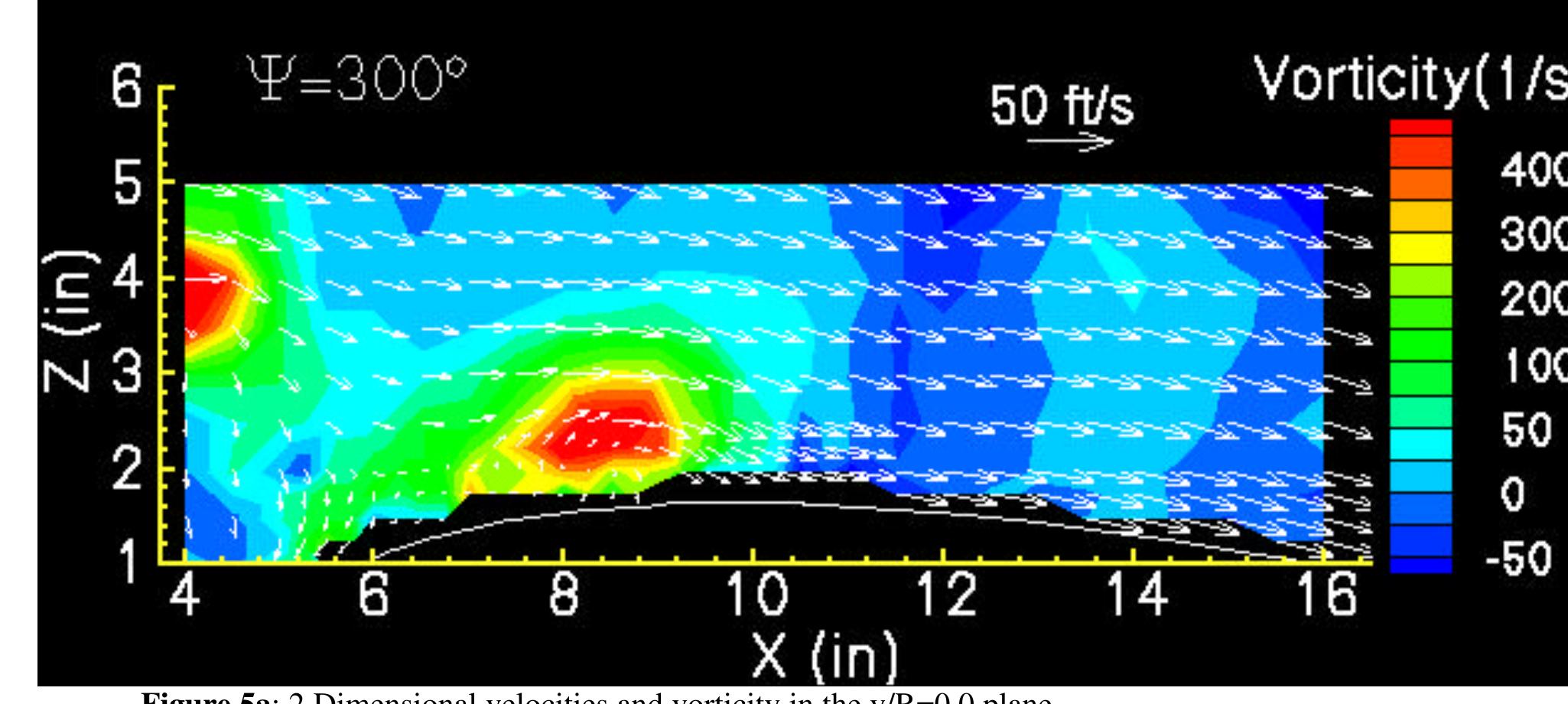B: schematic of tuft visualization results
