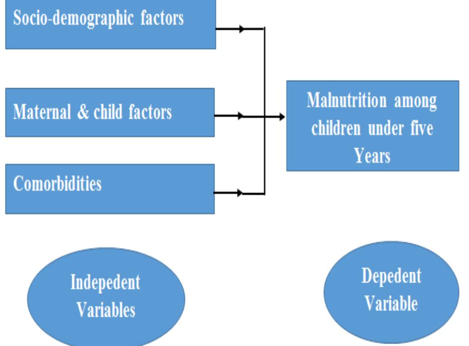 1. study conceptual framework. the conceptual framework