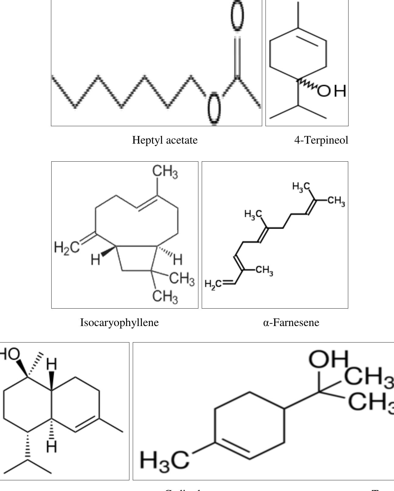 Chemical structures for identified constituents from