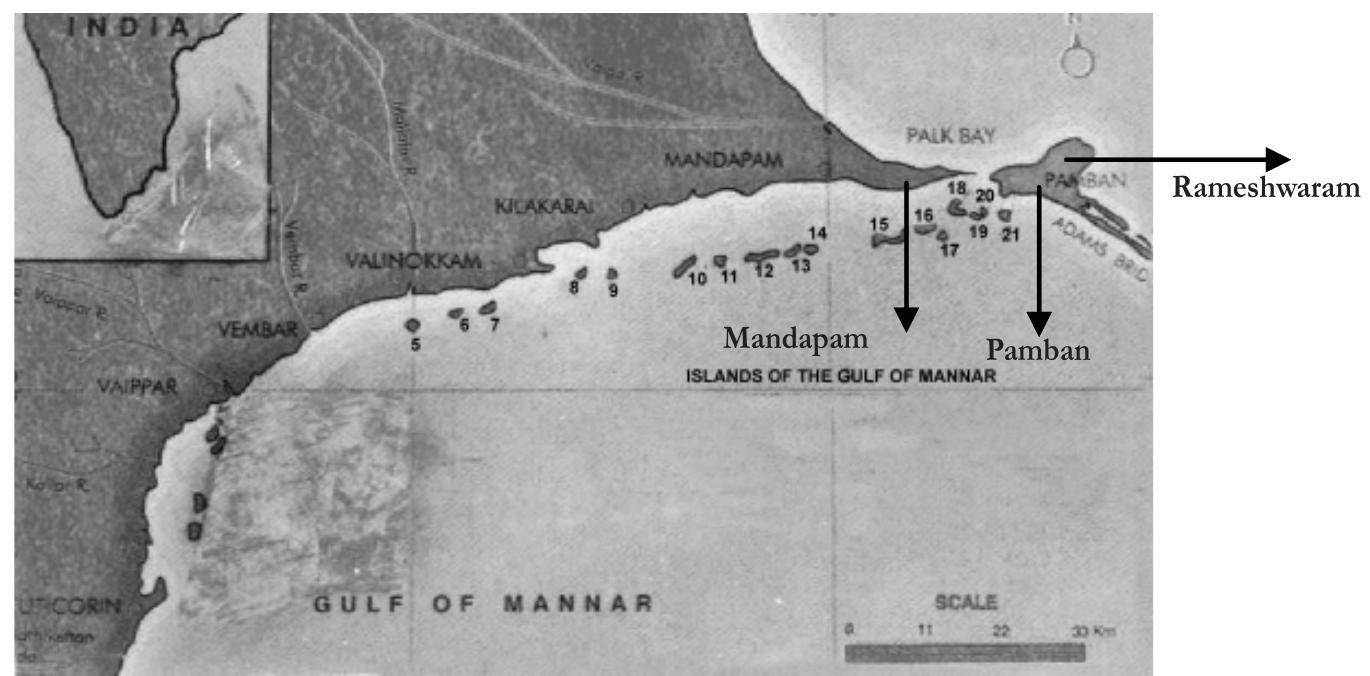 Map of the gulf of mannar national park source: