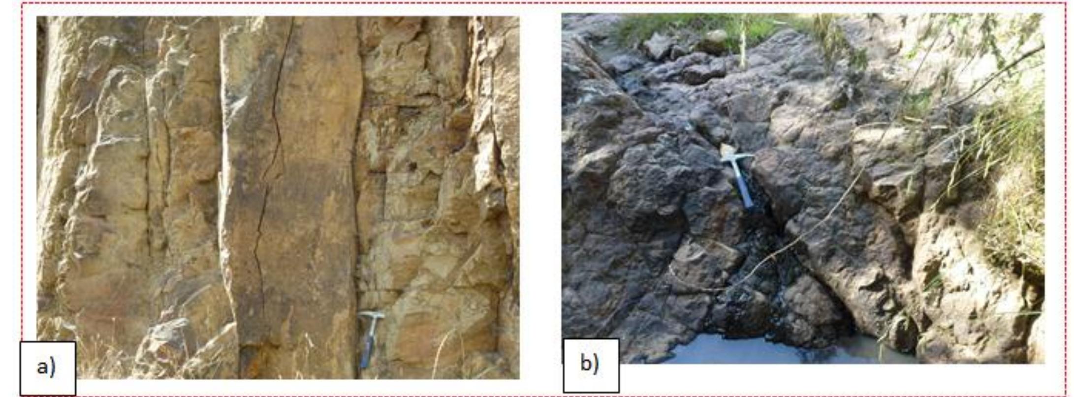 The photograph showing (a) vertical joints having n-s and