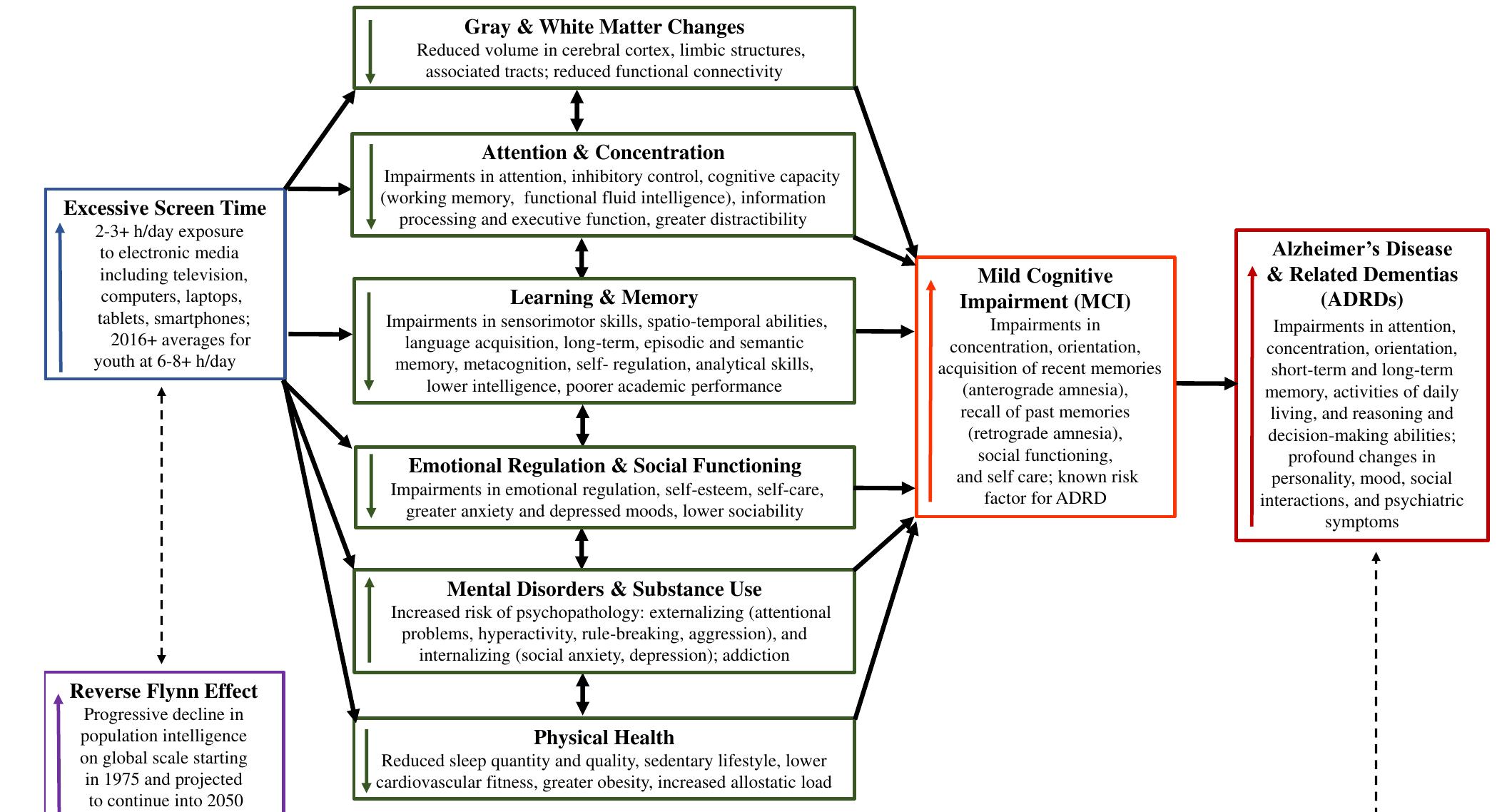 Schematic model of the effects of excessive screen time on