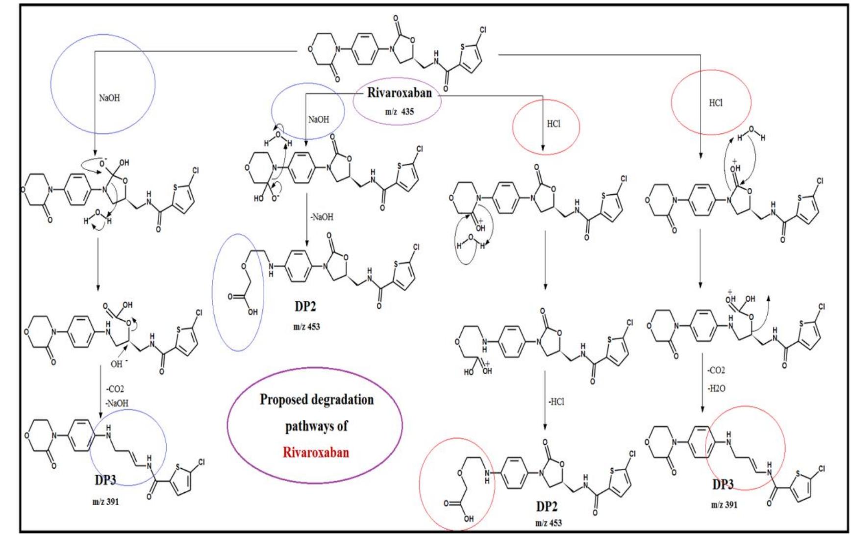 Proposed degradation pathways of rivaroxaban. for dp3, which