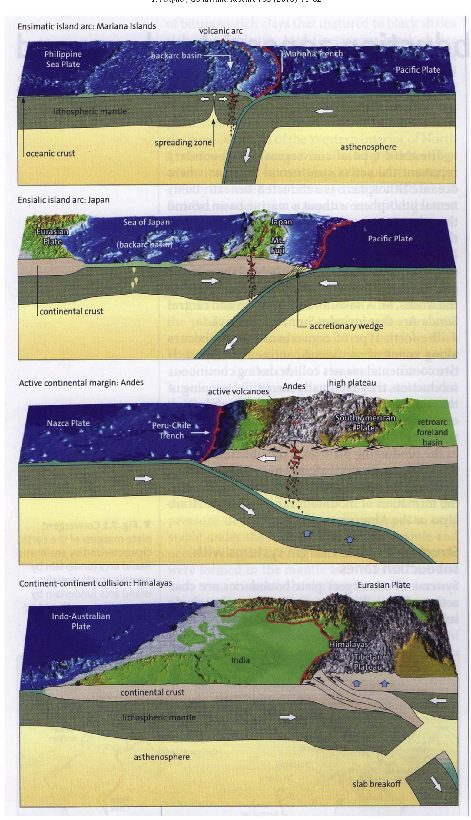 Types of subduction-related plate margins, based on angle of