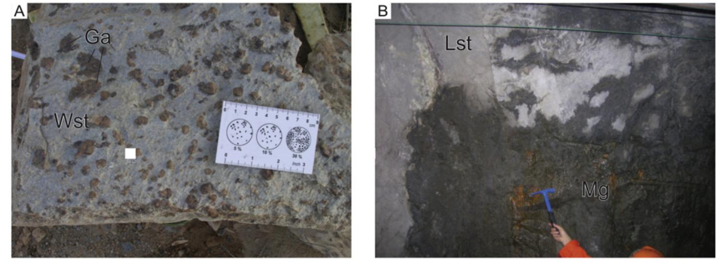 Field photographs of some typical skarns; a) outcrop of