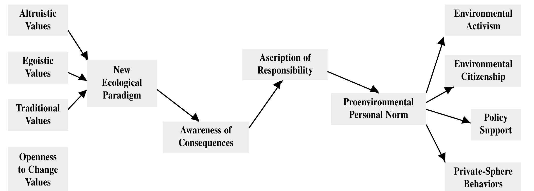 Schematic model of variables in the value-belief-norm theory