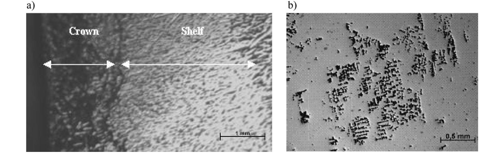 Metallurgical structure of (a) the edge of a var ingot (b)
