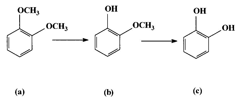Example of methyl-aryl ether cleavage mediated by cytochrome