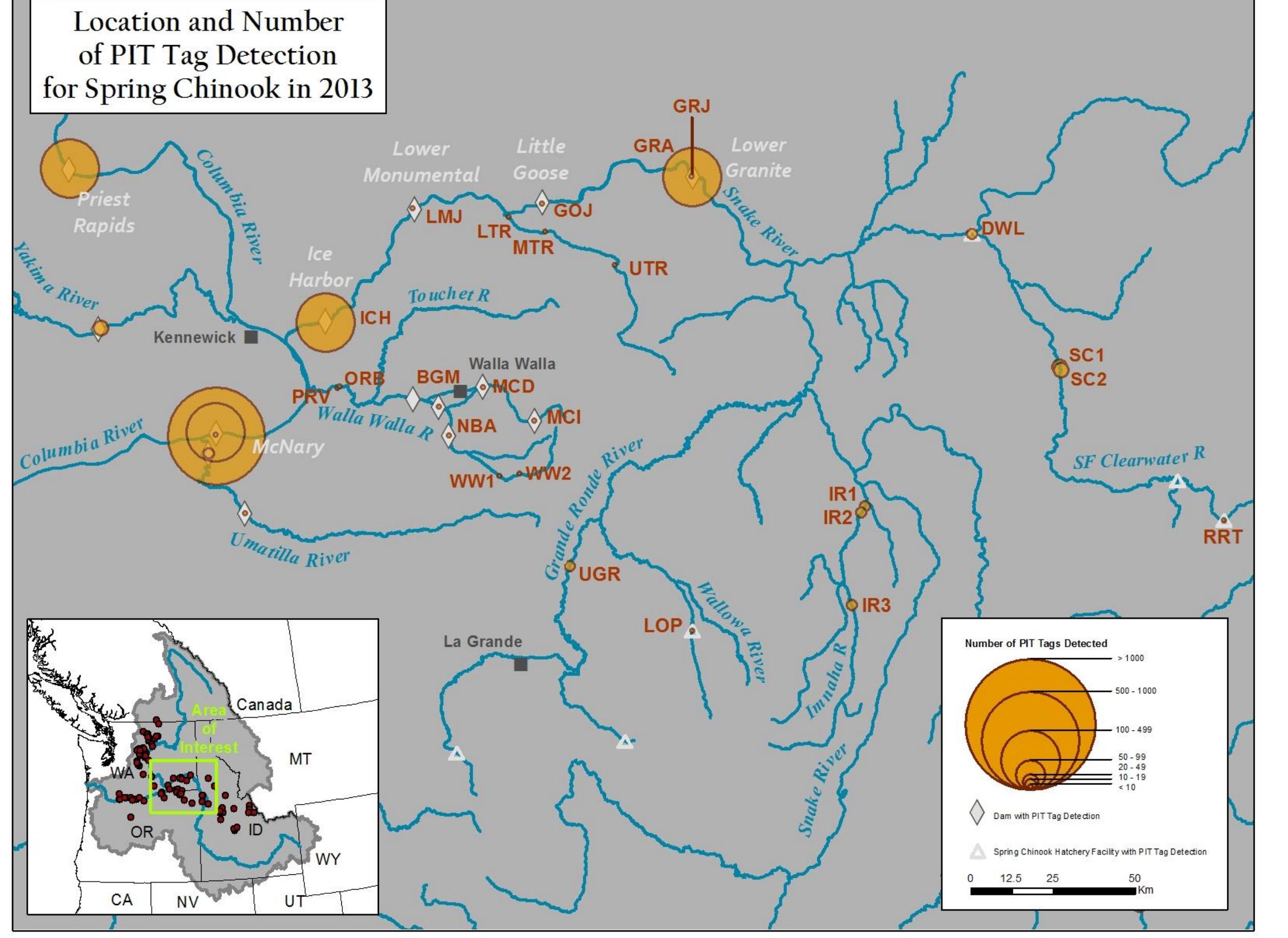 A5. map of lower snake river detections sites and number of