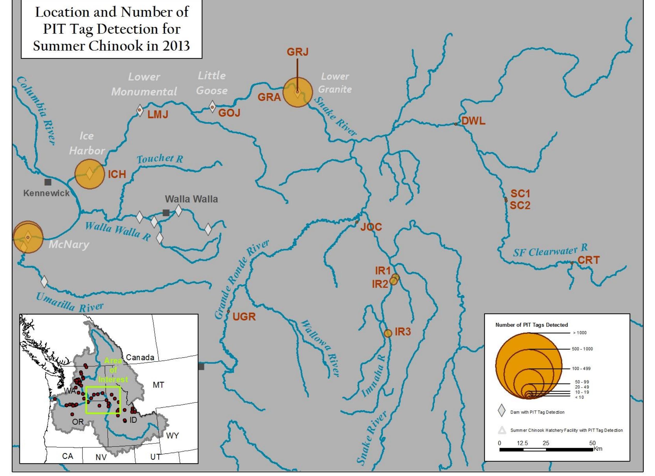 A10. map of lower snake river detections sites and number of