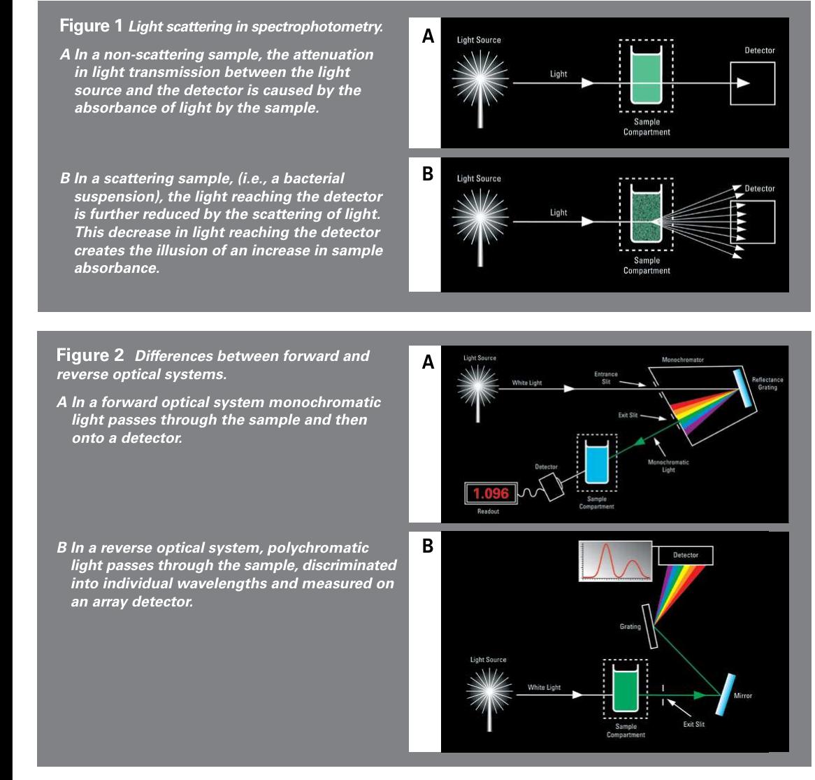 (PDF) Analyzing Differences in Bacterial Optical Density Measurements ...