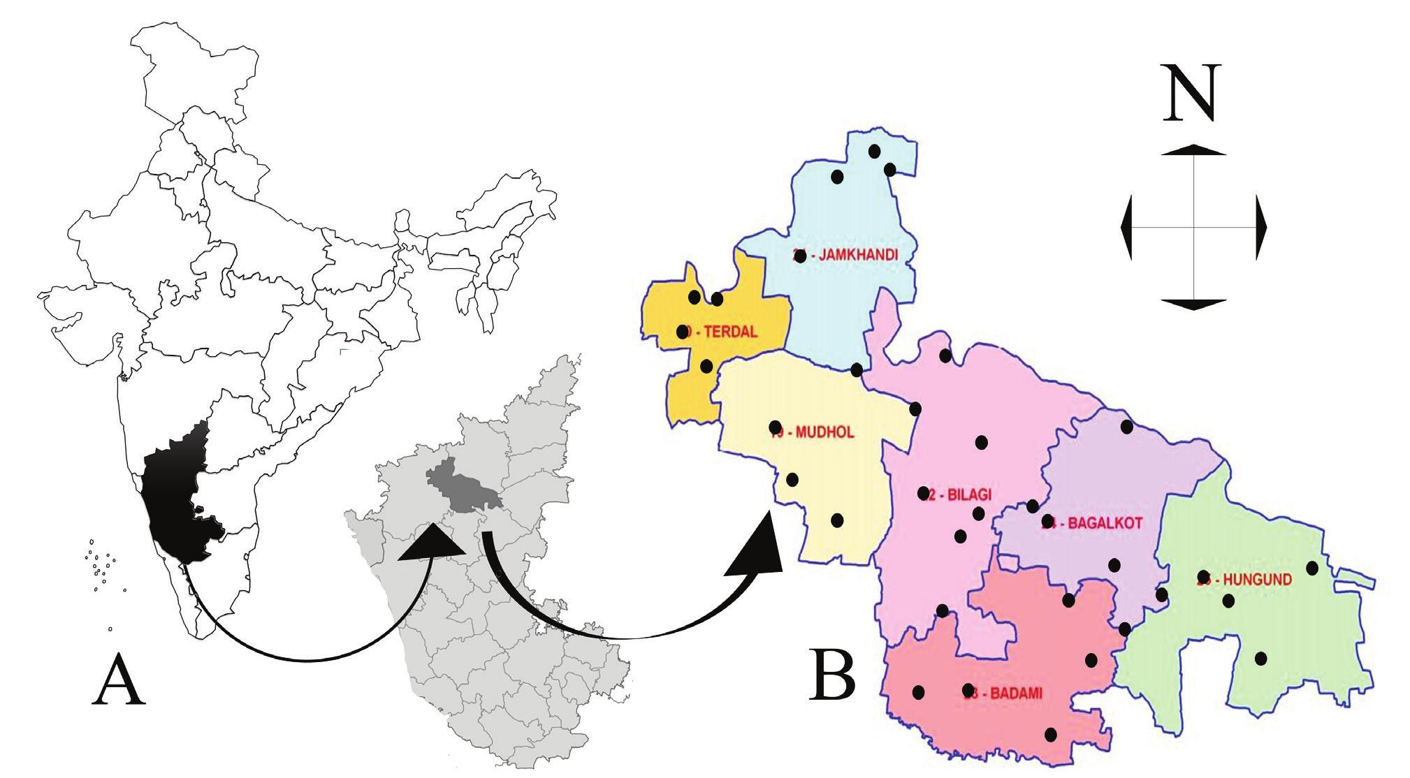 A—position of bagalkot district | b—detailed map of study