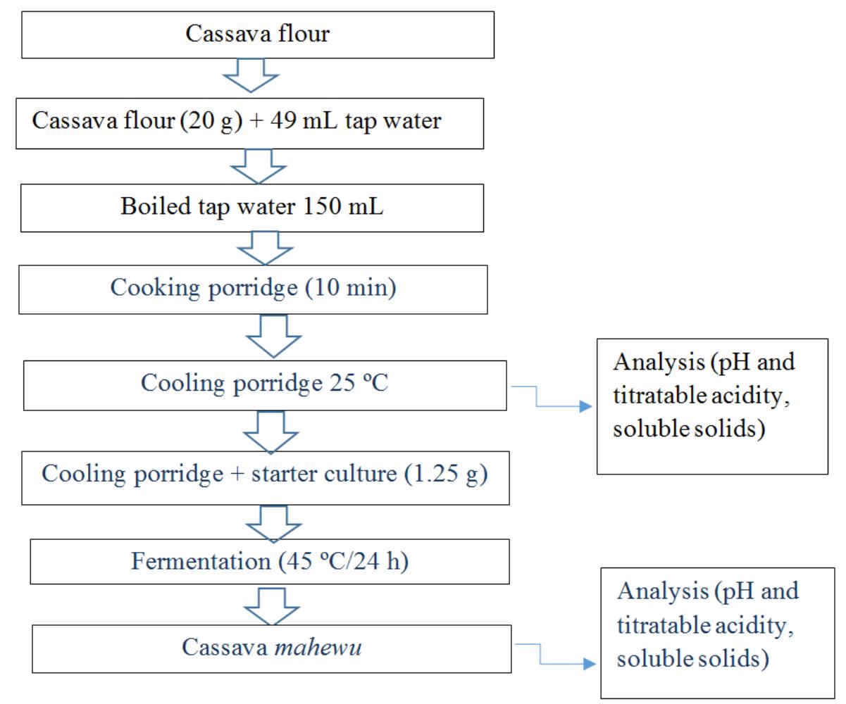 Schematic representation of cassava mahewu preparation [8].