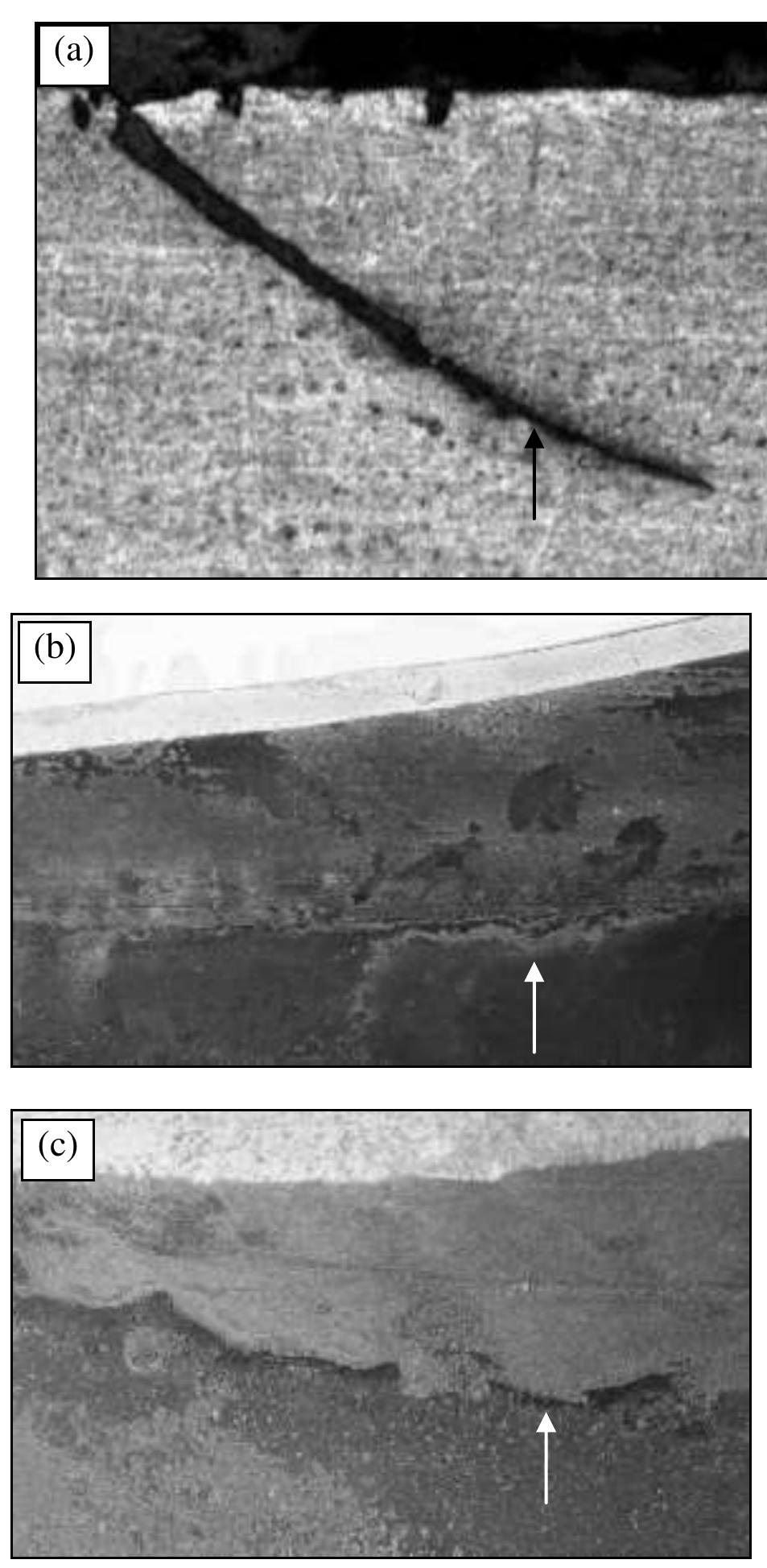 (b&c) photographs showing the surface fold (or overlap) on