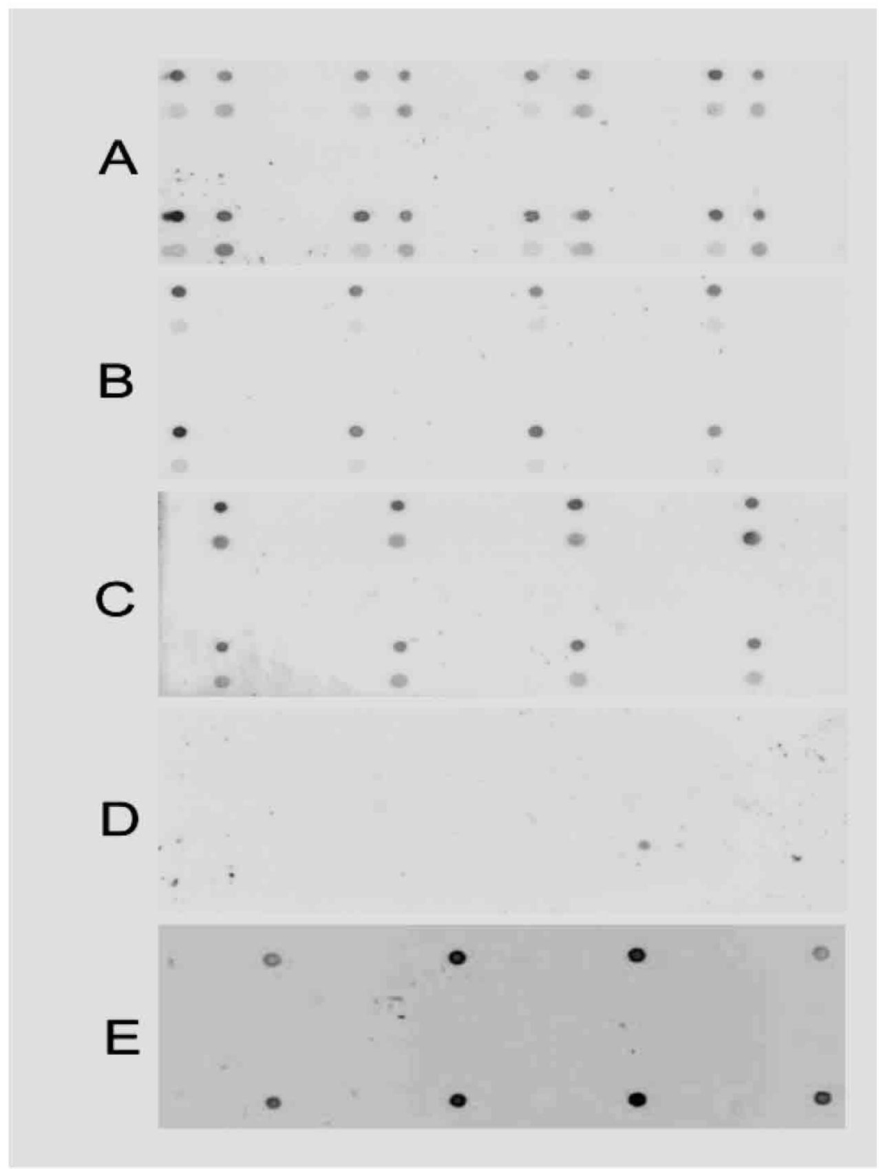 Figure 6 - Detection of foot and mouth disease and porcine