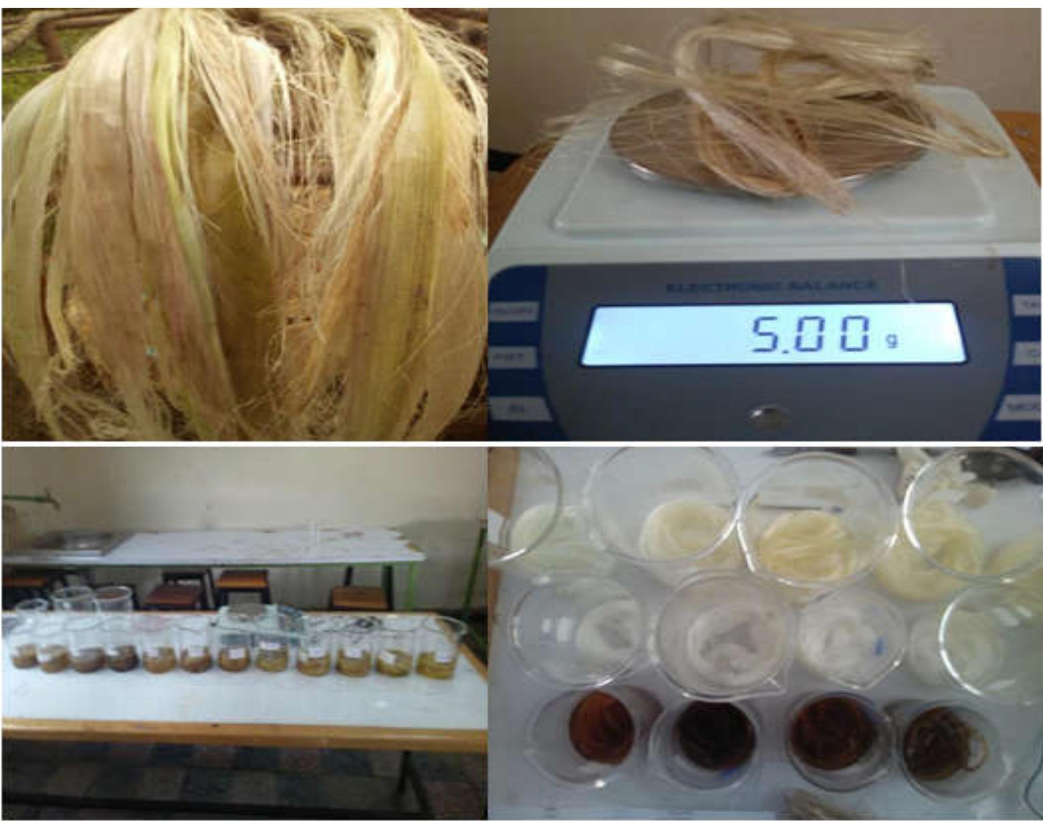 (PDF) Extraction, Characterization and Optimization of Banana Trunk Fiber