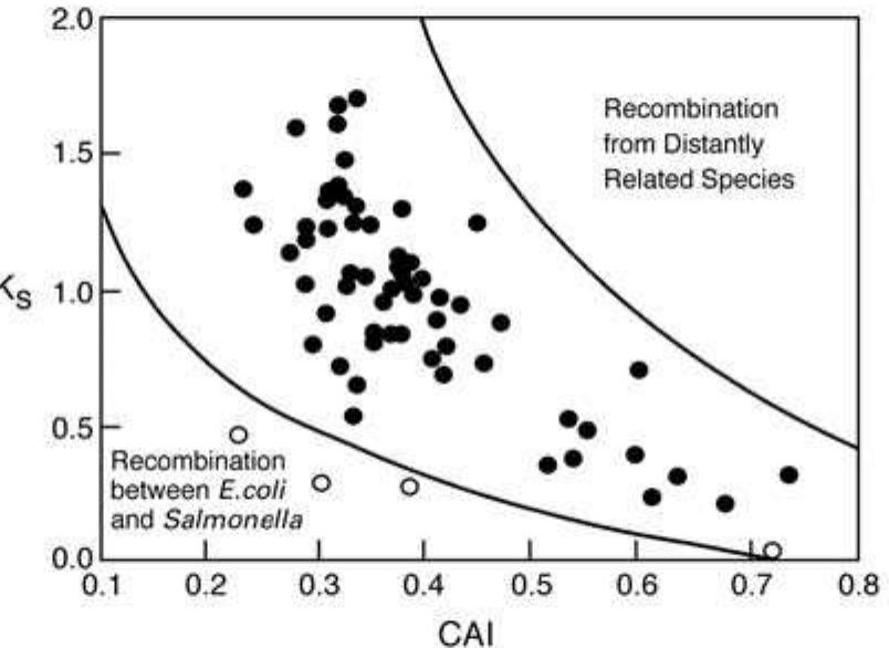 E 1. plot of codon bias by sequence divergence between genes