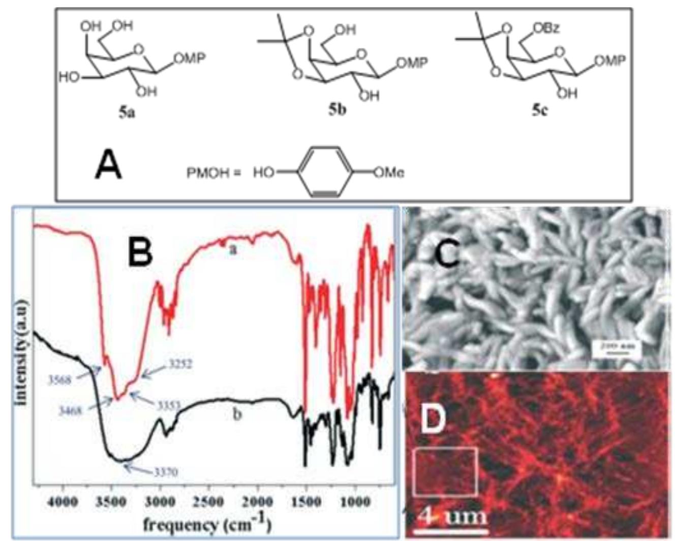 (a) structures of the sugar compounds; (b) ft-ir spectra of