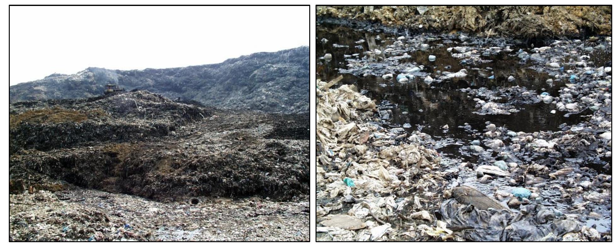 Composition of waste mass in slide area with no soil cover